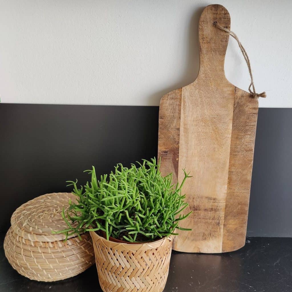 Borrelplank vintage look - gegraveerd met foto | Udesignit